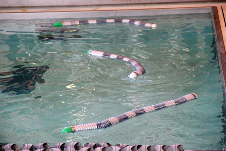 Students Put Engineering Concepts to Work at Robotic Eel Camp | The ...